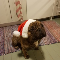 Chrysalis - Rinoz - WebNovel