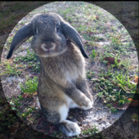 Agot, Alaric Stark - Spear_master - WebNovel