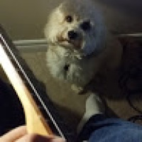 Formless Form Manga - Fanqi Comics,Sanfan Bear X Zhaoxiayi - WebNovel