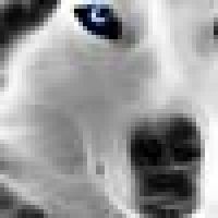 Read Formless Form Manga - Fanqi Comics,Sanfan Bear X Zhaoxiayi - Webnovel