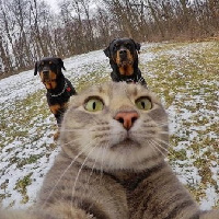 Read Reborn In Custom Made Demon King - Conceptual_entity - Webnovel