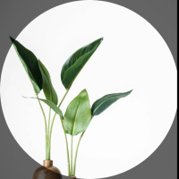 Reclaimed By The Alpha - Betty_mobolaji - WebNovel