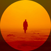 Harry Potter: The Witch Of The Red - Daoistdumbledore - WebNovel