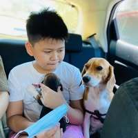 Honkai Star Rail: But I Can Touch Castorice - Walnut_chan - WebNovel